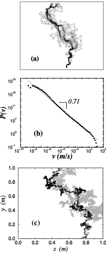 ͑ A ͒ Typical Streamlines Of The Velocity Field In A Correlated Download Scientific Diagram