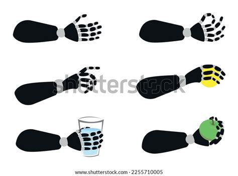 Vector Set Prosthetic Hands Different Angles เวกเตอร์สต็อก ปลอดค่าลิขสิทธิ์ 2255710005
