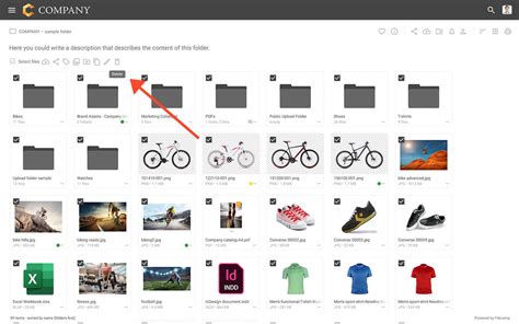 Delete Files Or Folders Filecamp
