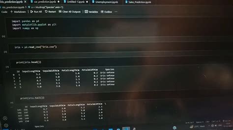 My Project On Iris Flower Classification Using Decision Tree Lipsa