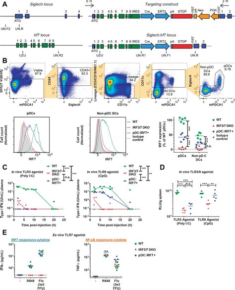 Figures And Data In Plasmacytoid Dendritic Cells Control Dengue And