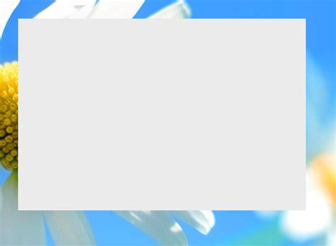 C WPF Glass Window With No Border And No Resize Out Of Focus Stack Overflow