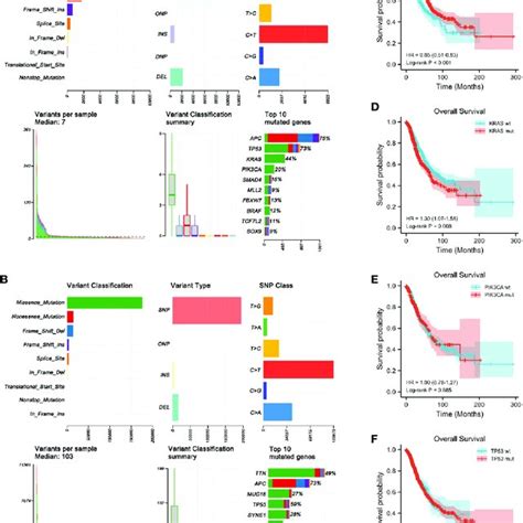 Genome Wide Mutation Profiling Of Patients With Colorectal Cancer