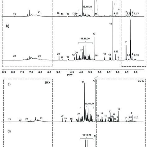 Extraction By Maceration Of Plant Powder In Increasing Order Of Solvent
