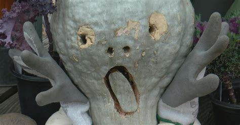 How To Protect Your Yard And Garden As Temps Fall Cbs Minnesota