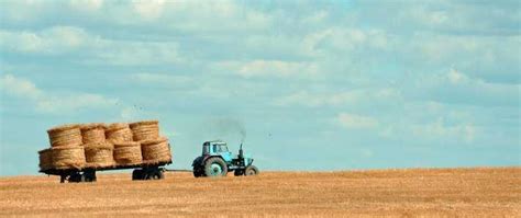 Starting A Basic Express App With Mongoose And Typescript Dev Community