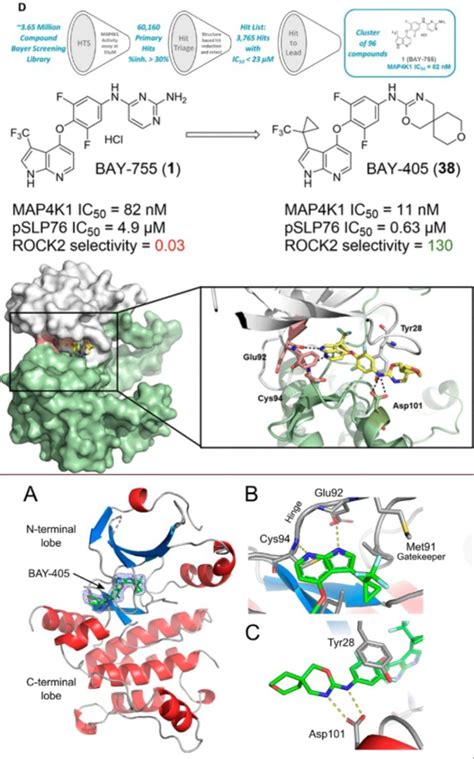 A Great Read On Medchem Driven Iterative Sar Study Undertaking An