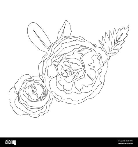 One Continuous Line Of Rose Flower Thin Line Illustration Vector Concept Contour Drawing