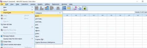How To Import Data Into SPSS A Step By Step Guide