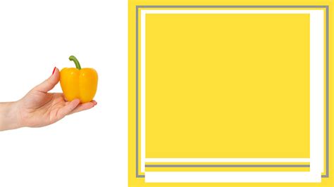 사각형 노란색 복사 공간 회색 프레임흰색 배경에 고립 된 여성의 손에 신선한 노란색 파프리카의 하나를 닫습니다 달콤한 피망을 들고 손바닥 야채 가게에서 제품 판매 의 개념
