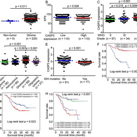Associations Between Casp3 Expression And Clinicopathological Download Scientific Diagram