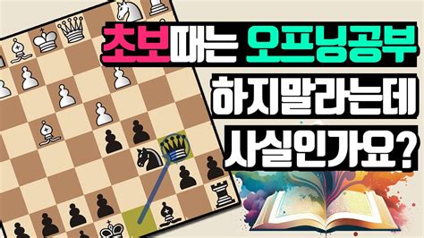 초보때는 체스오프닝공부 하지말라는데 사실인가요 꼭 알아야하는 체스공부법 Youtube