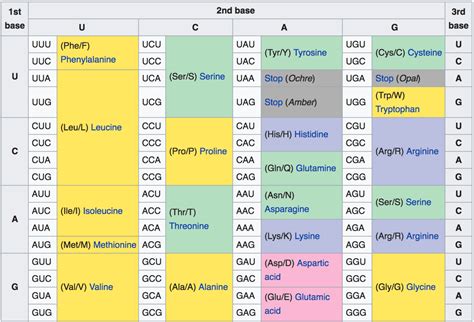 Code Designs I Ching DNA Correlation Katya Walter