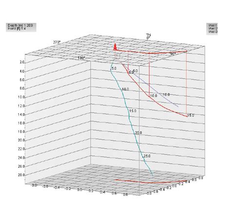 Wellcad Deviation Data Display Module