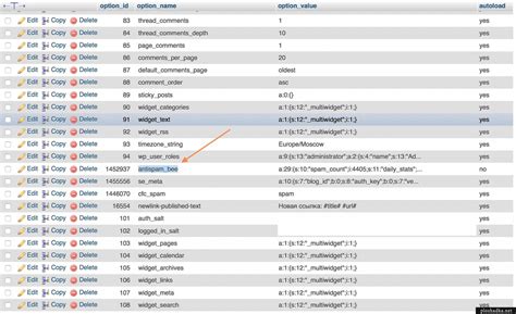 Очищаем базу данных Mysql на Wordpress