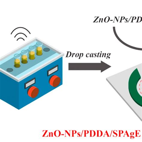 Schematic Diagram Of The Preparation Of Zno Npspdda For Modifying