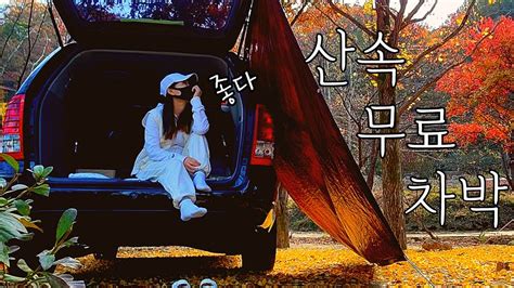 단풍🍂카페트 깔린 산속에서 나홀로 차박 무료캠핑장 솔로캠핑 Youtube