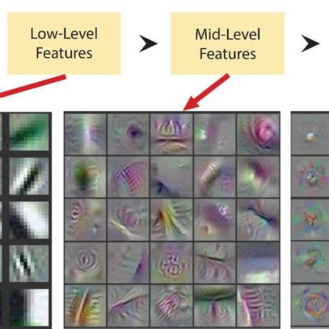 hierarchical representation learning by a convolutional neural network