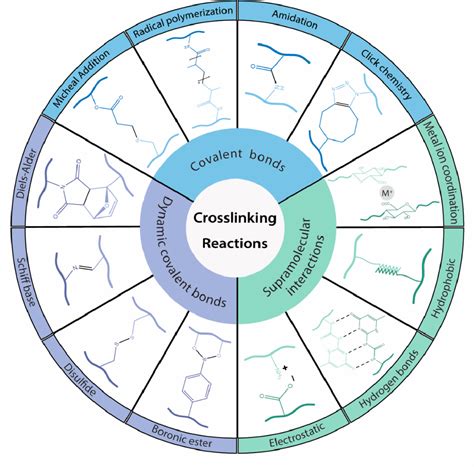 Stimuli Responsive Hydrogels The Dynamic Smart