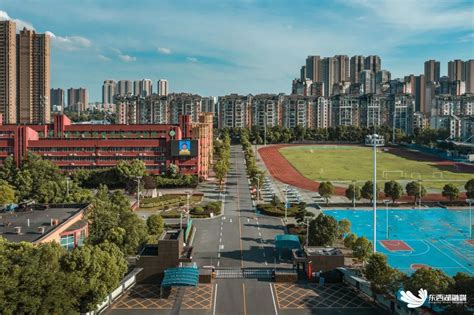 临空港新闻 临空港新闻 武汉市东西湖区人民政府 武汉临空港经济技术开发区管委会