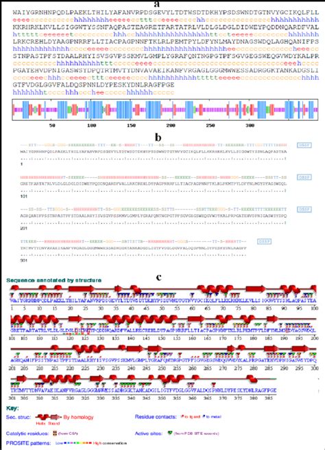 A B And C Secondary Structure Predictions Of The Chitinase Download Scientific Diagram