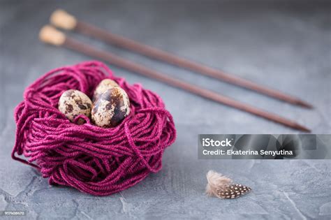 바이올렛 다채로운 양모에 메 추 라 기 계란 뜨개질 바늘 중첩 Knitters 부활절 엽서 개념입니다 0명에 대한 스톡 사진 및 기타 이미지 Istock