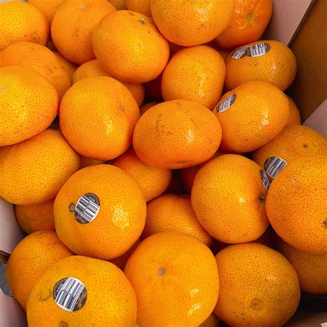 Local Thin Skinned Small Mandarins 1kg Umall Sydneys Largest