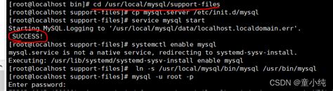 mysql数据库系列 二 安装 linux版 libtinfo so 6 64bit csdn博客