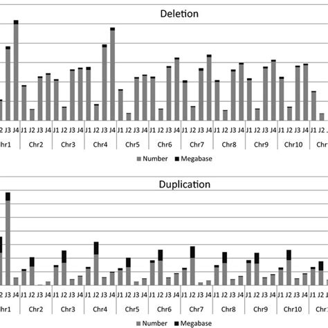 Copy Number Variation Analysis In J1 J2 J3 And J4 Genotypes Based On Download Scientific