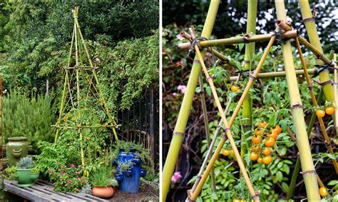 Diy Bamboo Trellis Tower Bonnie Plants