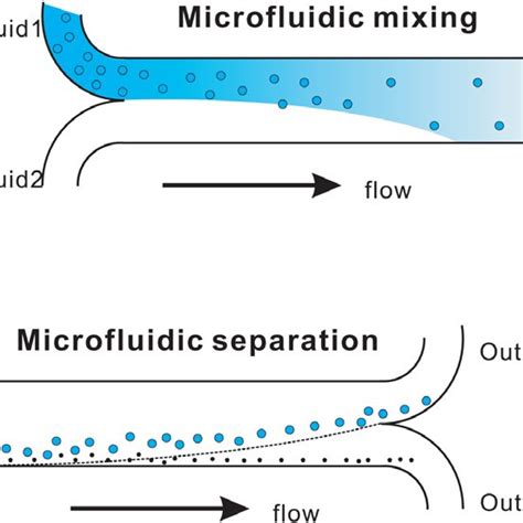 Movement Of Microfluidic Mixing And Separation Transvers Migration Download Scientific Diagram
