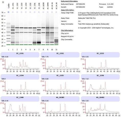 How To Isolate Host RNA Separately From Bacterial RNA ResearchGate