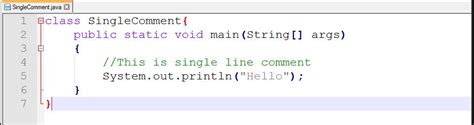 Single Line Comment Example