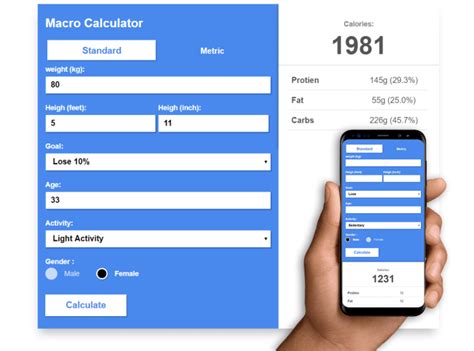 create a custom web calculator or convert excel into web app by hafizshehroz fiverr