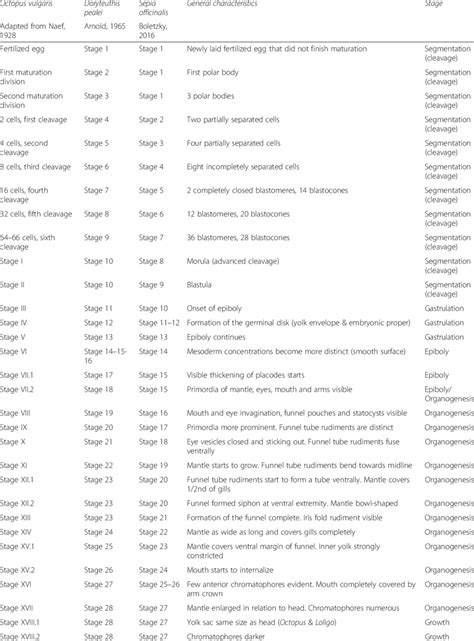 Comparative Developmental Guide For Cephalopod Development Download Scientific Diagram
