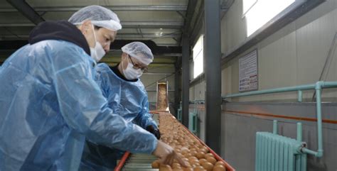 Хүнсний бүтээгдэхүүн дээрх хаяг шошго бидэнд ямар мэдээллийг өгдөг вэ Хүнсний хувьсгал