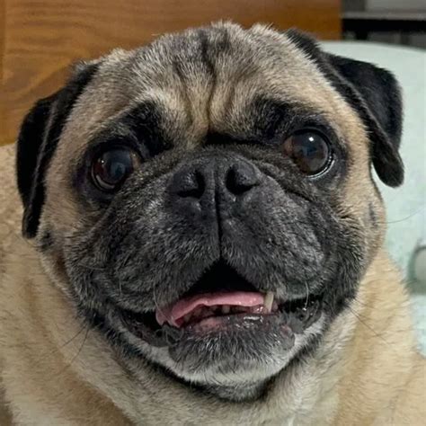 K Pmu Artist Hannah Janna B Studio On Threads