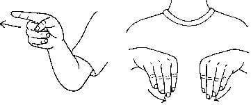 How To Translate Sentences Into Asl