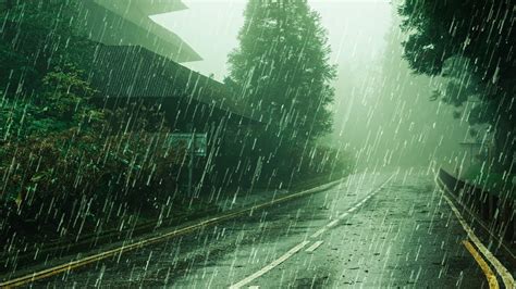 15분만에 잠드는 빗소리 안개낀 숲속 최고의 빗소리 Asmr Youtube