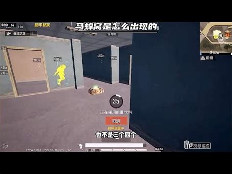 马蜂窝到底是怎么出现的呢他们的前身是什么游戏日常 YouTube