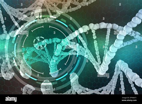 Genetic Engineering The Study Of The Structure Of DNA And RNA The