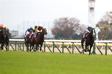 ジャパンカップ2024 過去10年の傾向データ｜g1特集｜競馬予想・競馬情報ならjra Van