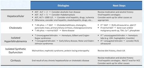 Liver Function Test Lfts Normal Values When To Order Interpretation