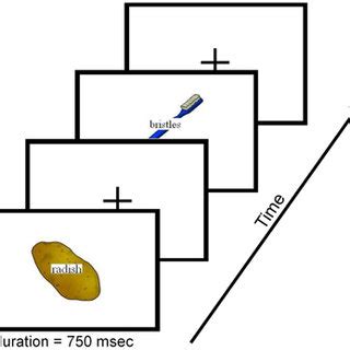 Experimental Design An Overview Of The Task Design Is Shown Here The Download Scientific