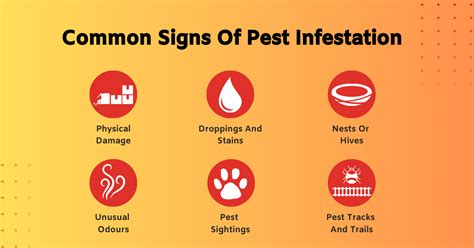 The Guide To Best Practices For Pest Control Truly Blog
