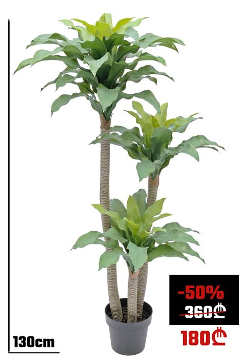 ფრანგული სახლი French ფრანგული სახლი French House