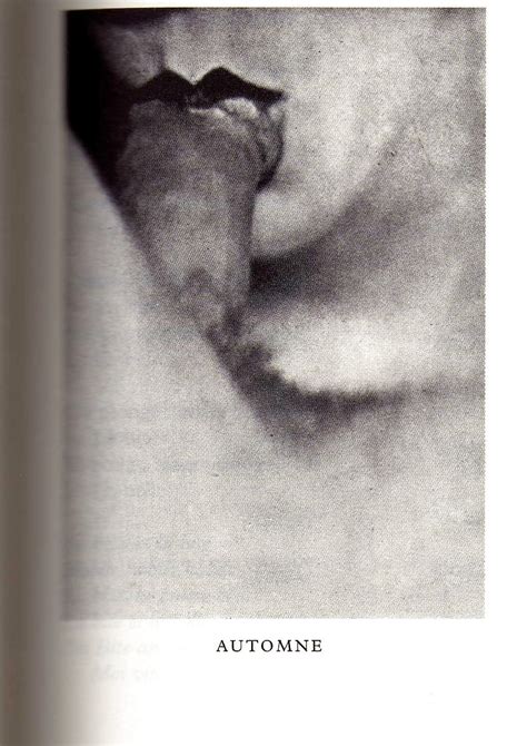 1929 Man Ray Porn Pictures Xxx Photos Sex Images 9258 Pictoa