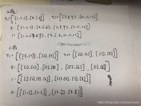 Ncat解析a List Of Tensor Objects Csdn博客