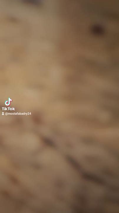 Mostafa Badry On Linkedin Coffeeart Hospitality Hilton