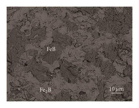 Microstructure Of Investigated B Cr Fe Alloys After Annealing At 1353 K Download Scientific